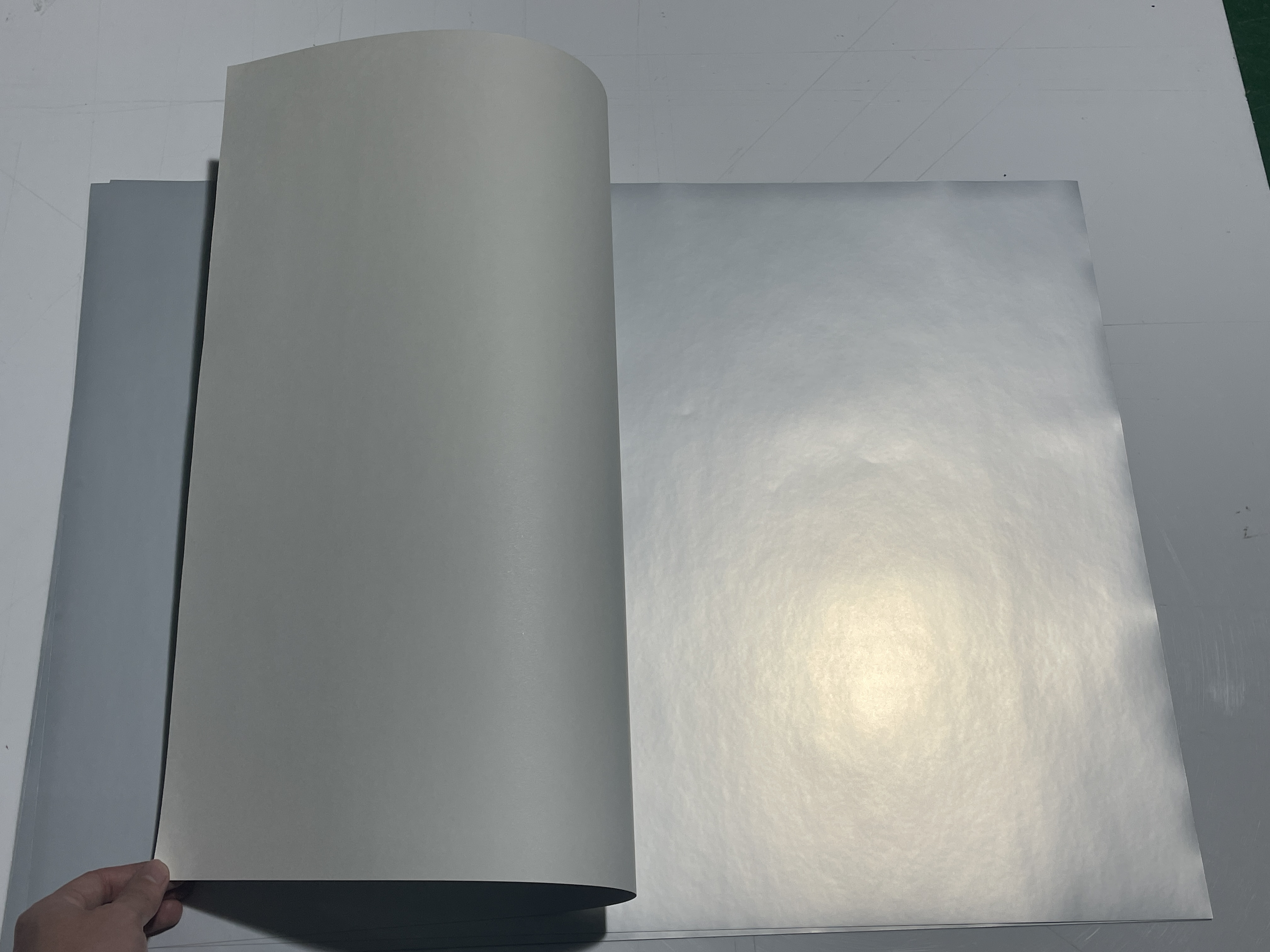 3M™ Screen Printable Sheet Polyester Label Material 7983